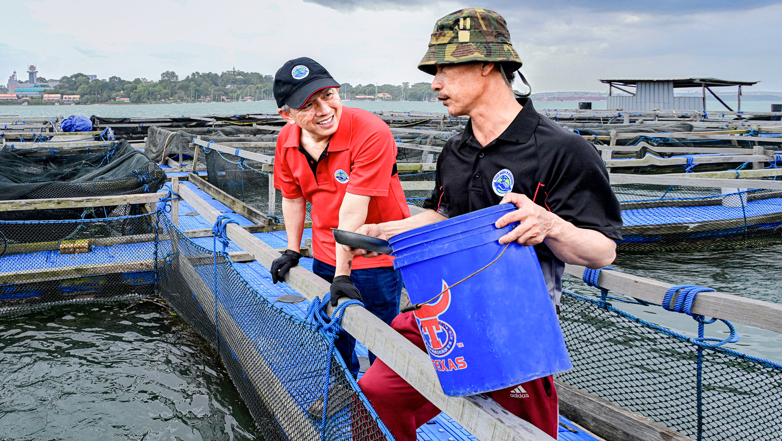 Meet fish farming veteran Malcolm Ong | SFA