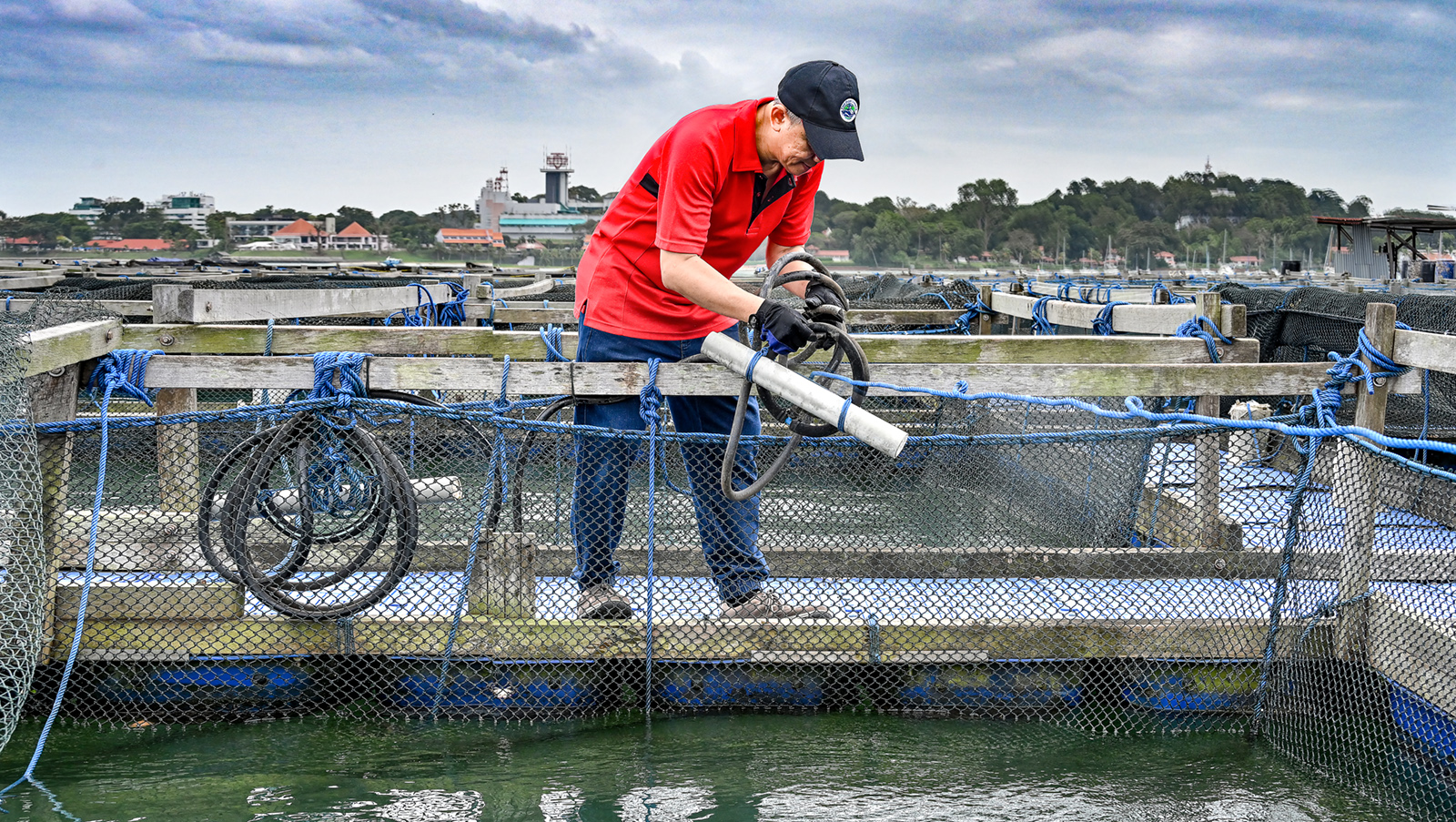 Meet fish farming veteran Malcolm Ong | SFA