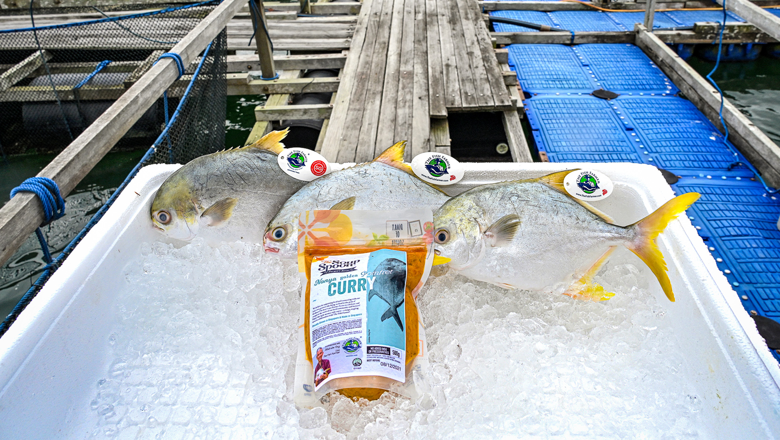 Meet fish farming veteran Malcolm Ong | SFA