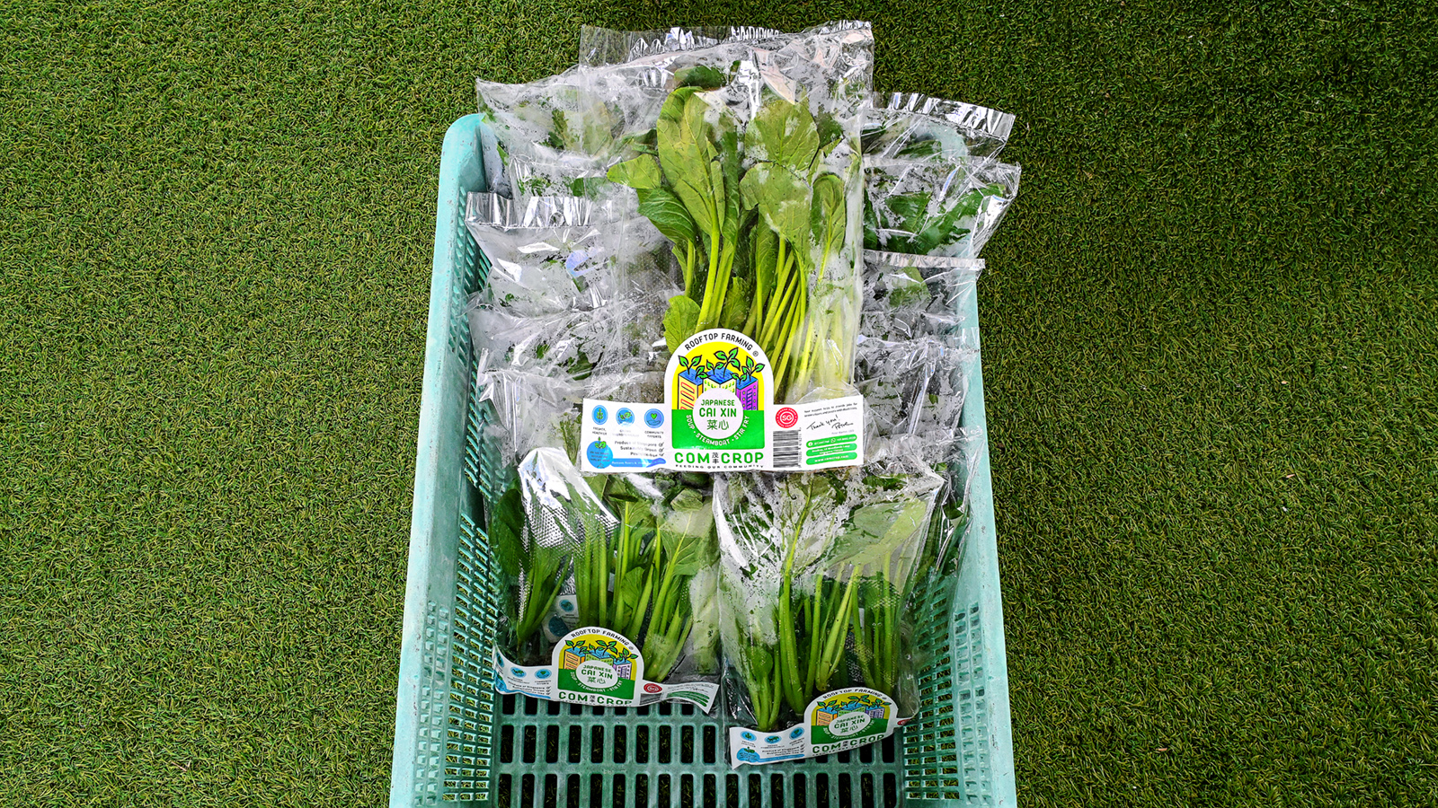 ComCrop — A rooftop farm that’s elevating local produce | SFA