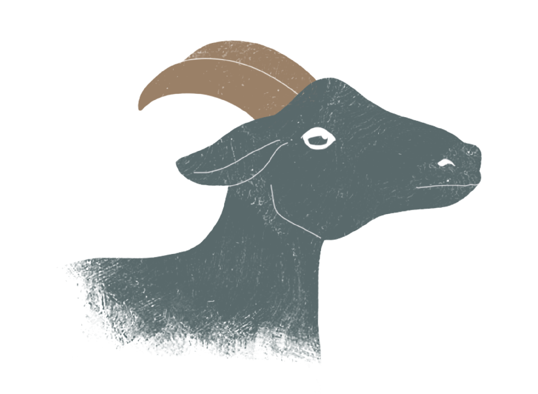 The farm that produces fresh local goat milk - Hay Dairies | SFA