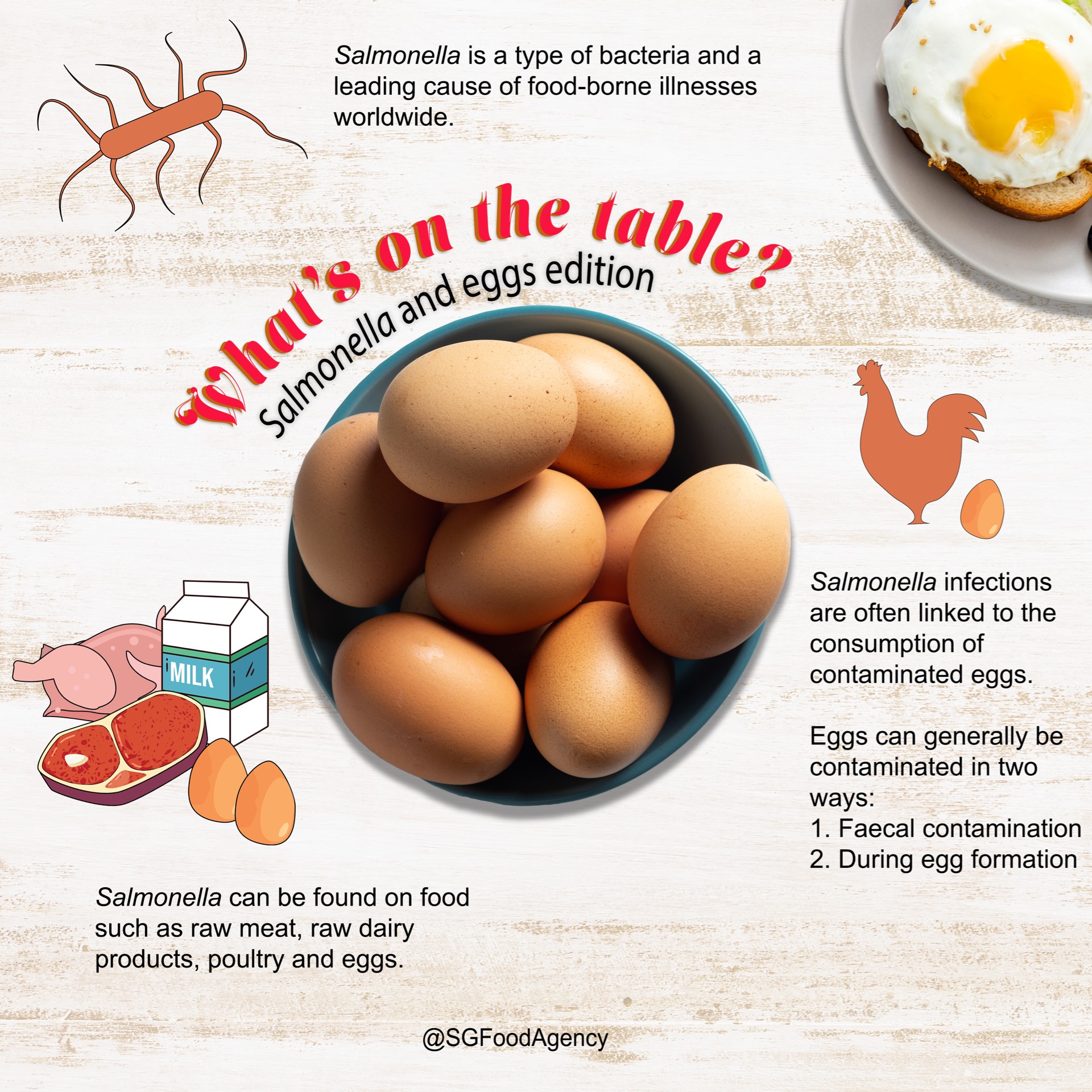 Food For Thought Whats On The Table Series Salmonella And Eggs Edition