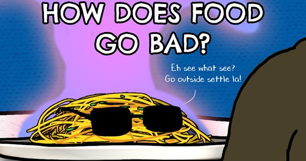 Food for Thought | How does food go bad?