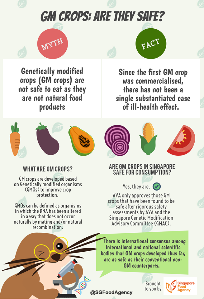 Food for Thought | Are genetically modified crops real & safe to consume? Food for Thought | Are genetically modified crops real & safe to consume?