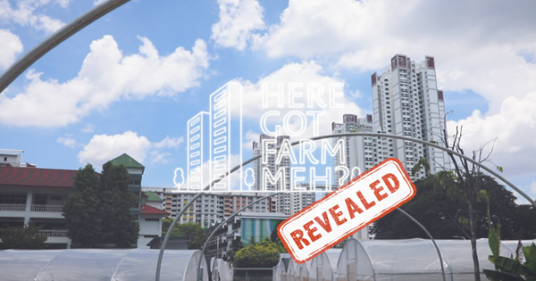 Food for Thought | Here got farm meh? - Sprout Hub