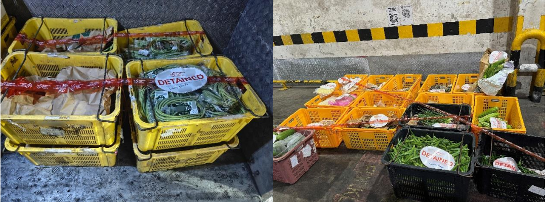 Around 280 kilograms of illegally imported produce seized